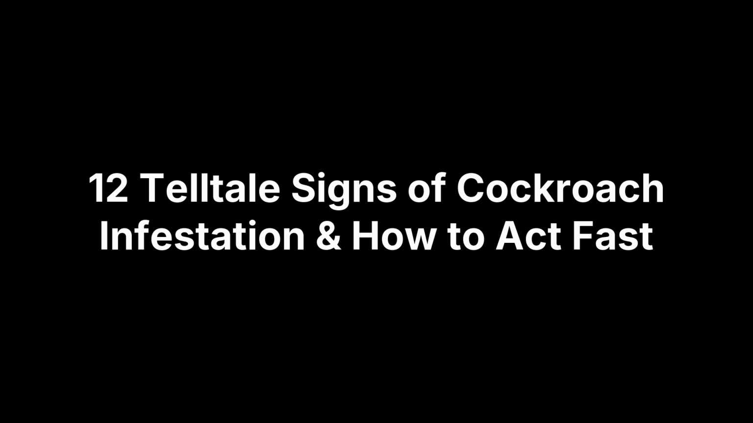 12 Telltale Signs of Cockroach Infestation & How to Act Fast – Redi ...