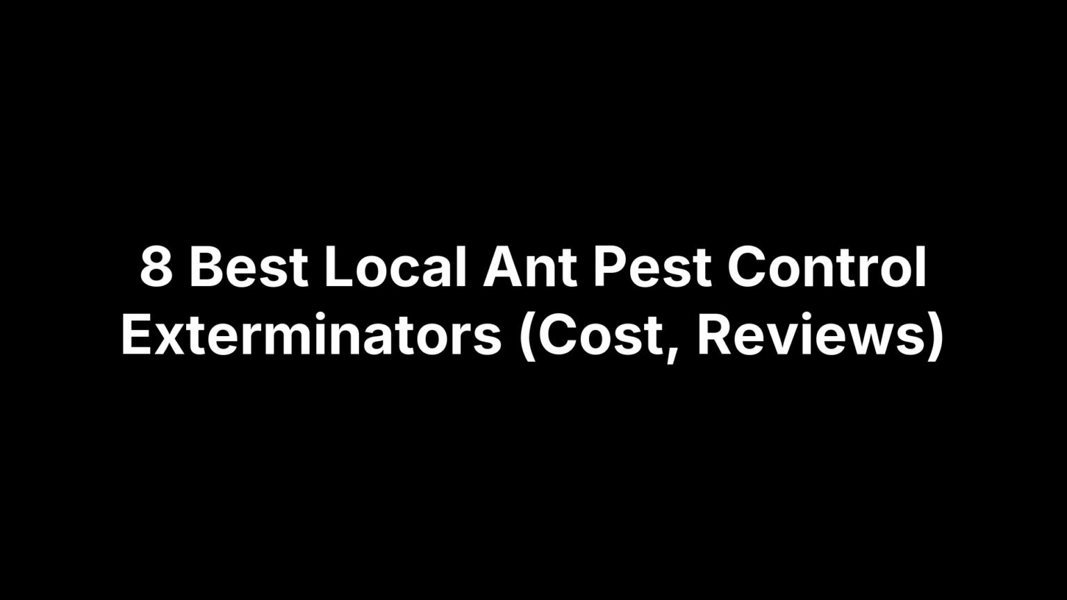 8 Best Local Ant Pest Control Exterminators (Cost, Reviews) – Redi Pest Control