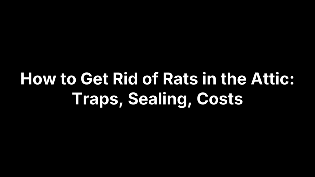 How to Get Rid of Rats in the Attic: Traps, Sealing, Costs – Redi Pest ...
