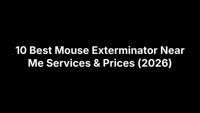10 Best Mouse Exterminator Near Me Services & Prices (2026) – Redi Pest ...